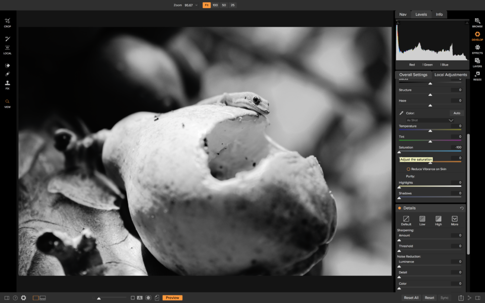 Over-Editing Photos: Top 5 Bad Photo Editing Mistakes to Avoid - ON1