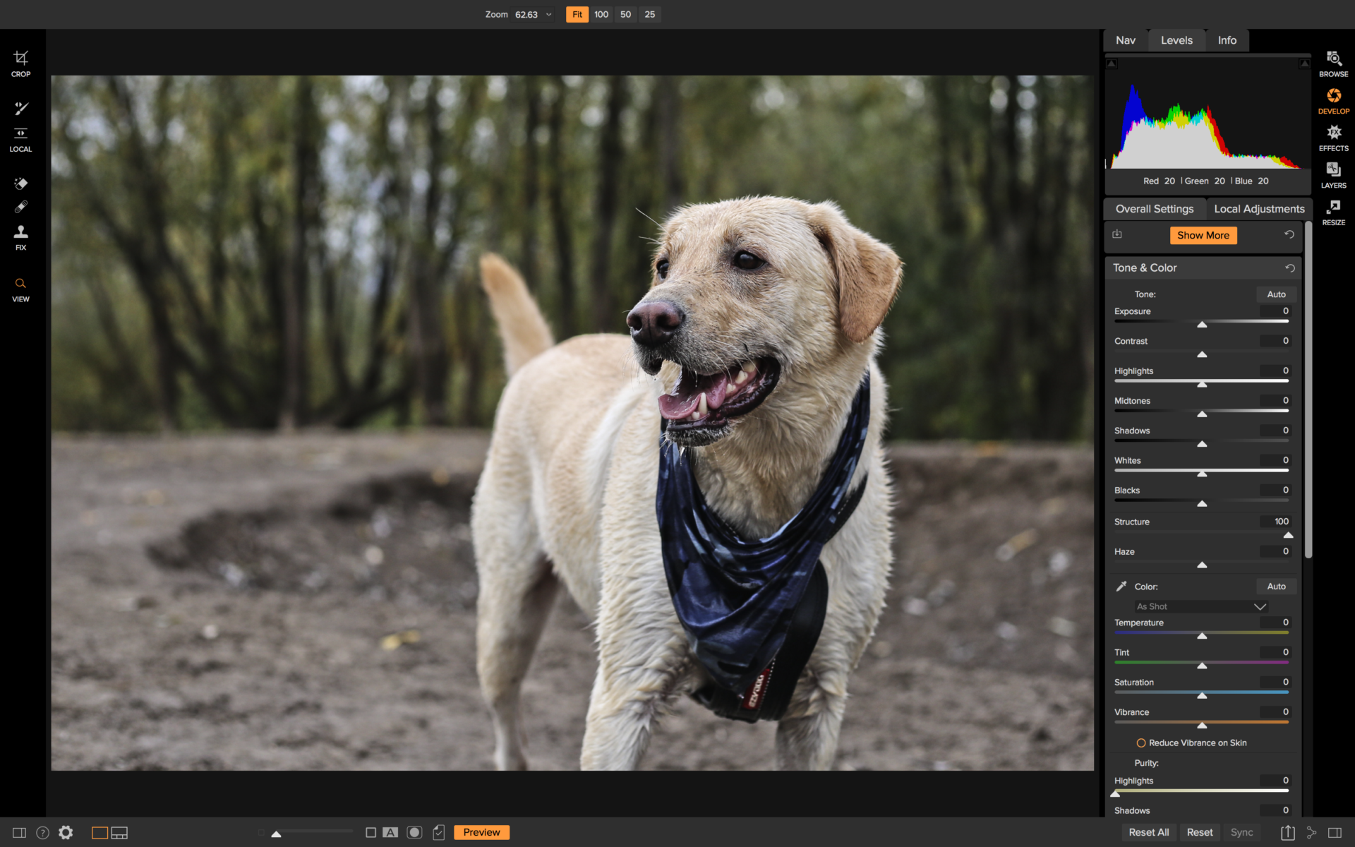 Over-Editing Photos: Top 5 Bad Photo Editing Mistakes to Avoid - ON1