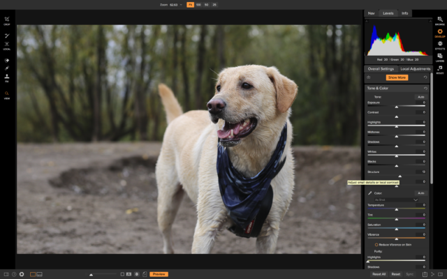 Over-Editing Photos: Top 5 Bad Photo Editing Mistakes to Avoid - ON1