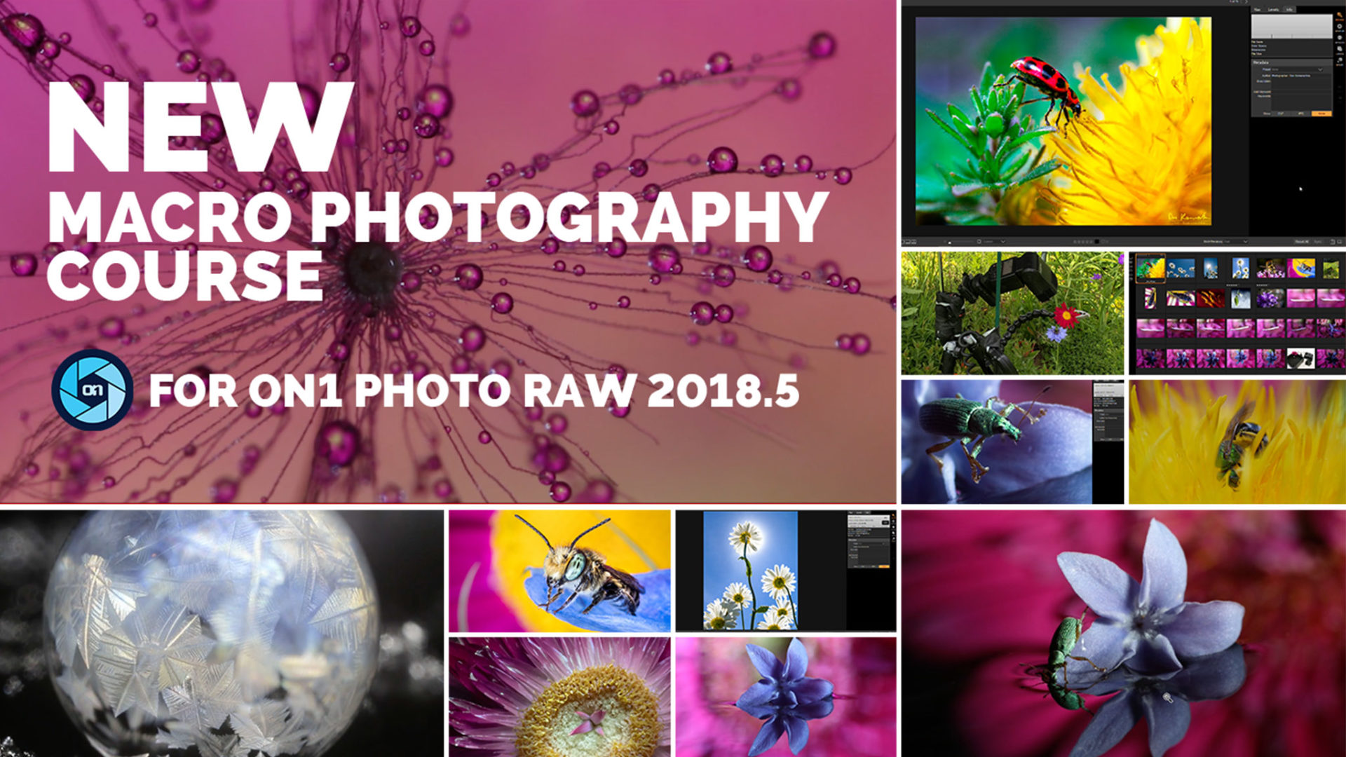 Macro Photography Course by Don Komarechka - ON1