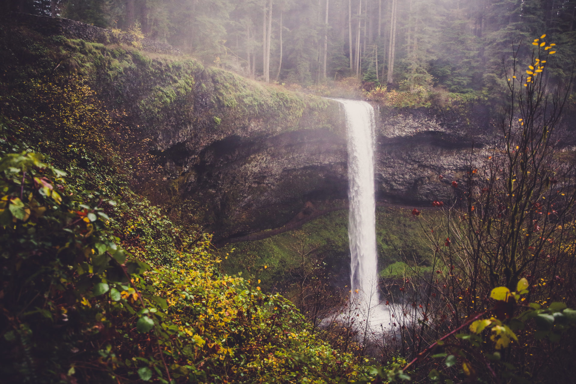 Natural Light Photography Tips & Tricks | Learn the Best Practices for ...