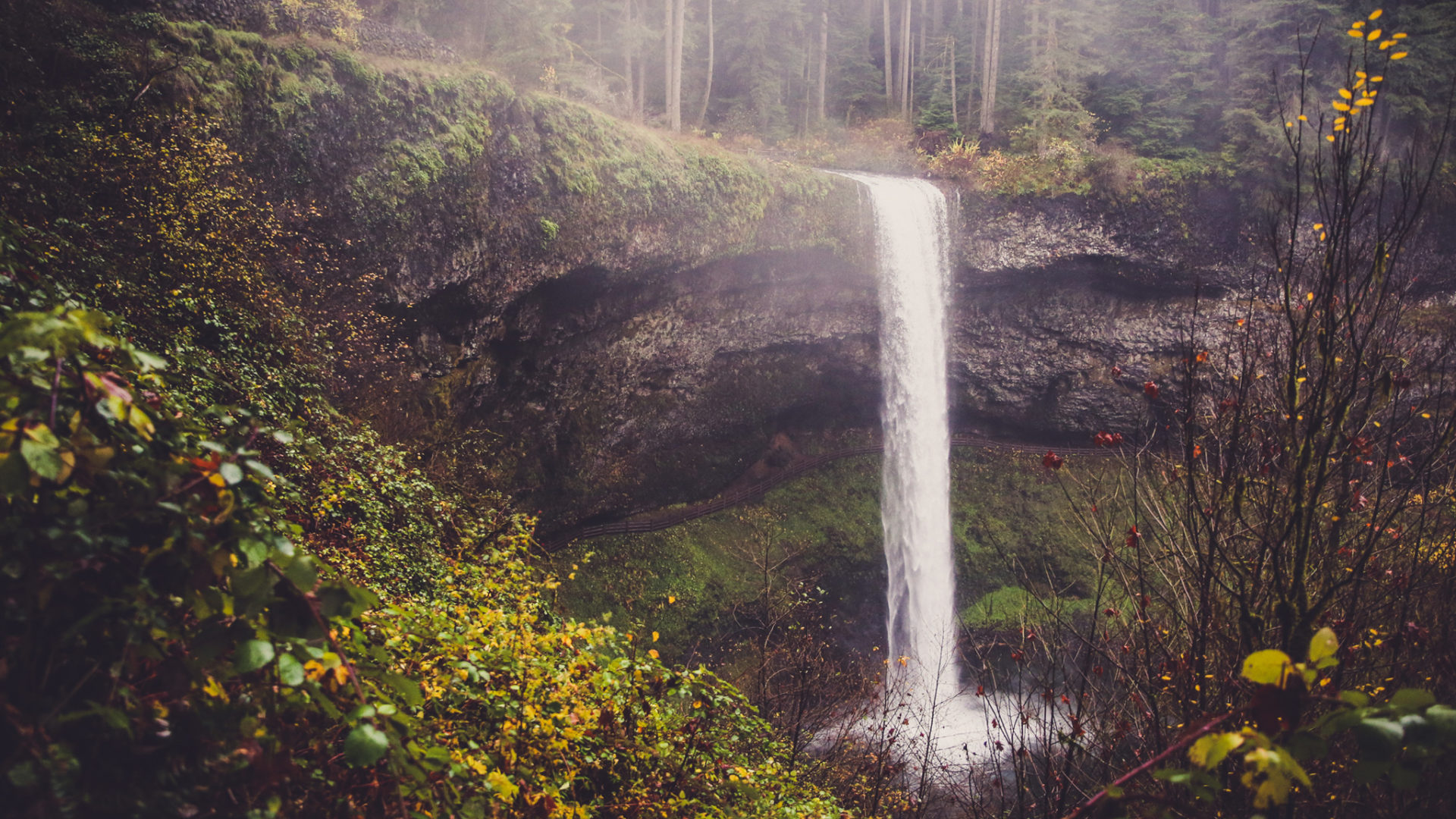 Natural Light Photography Tips & Tricks | Learn the Best Practices for ...