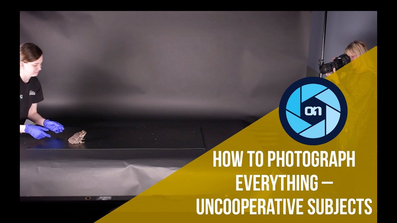 Uncooperative Subjects - ON1