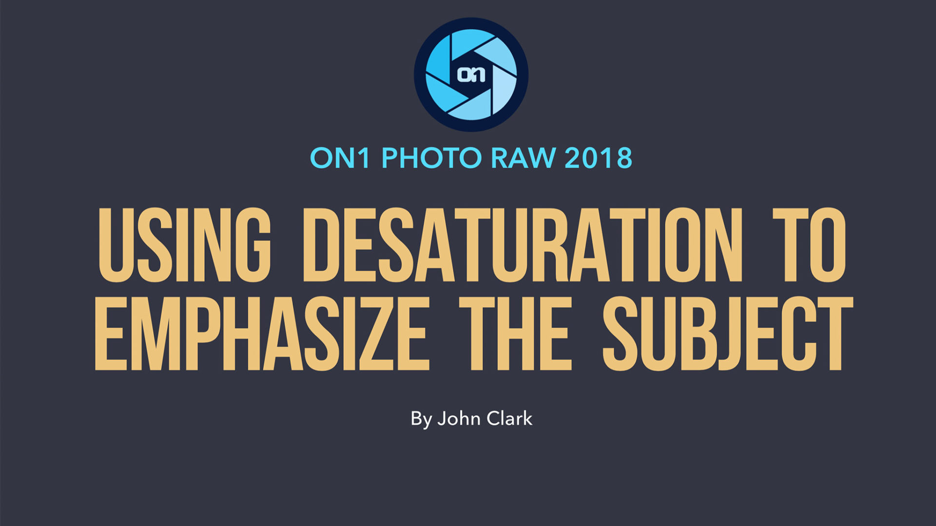 PDF Guide: Using Desaturation to Emphasize the Subject - ON1