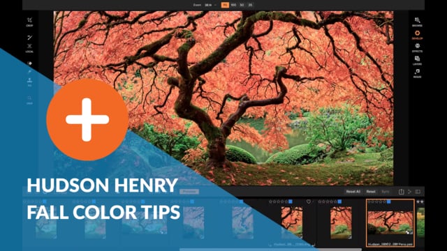 Fall Color Tips - ON1