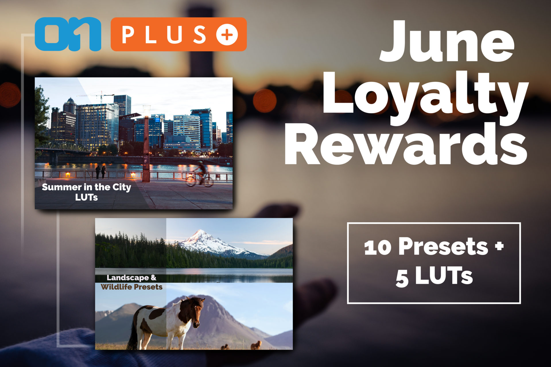 June 2019 ON1 Plus Rewards - ON1
