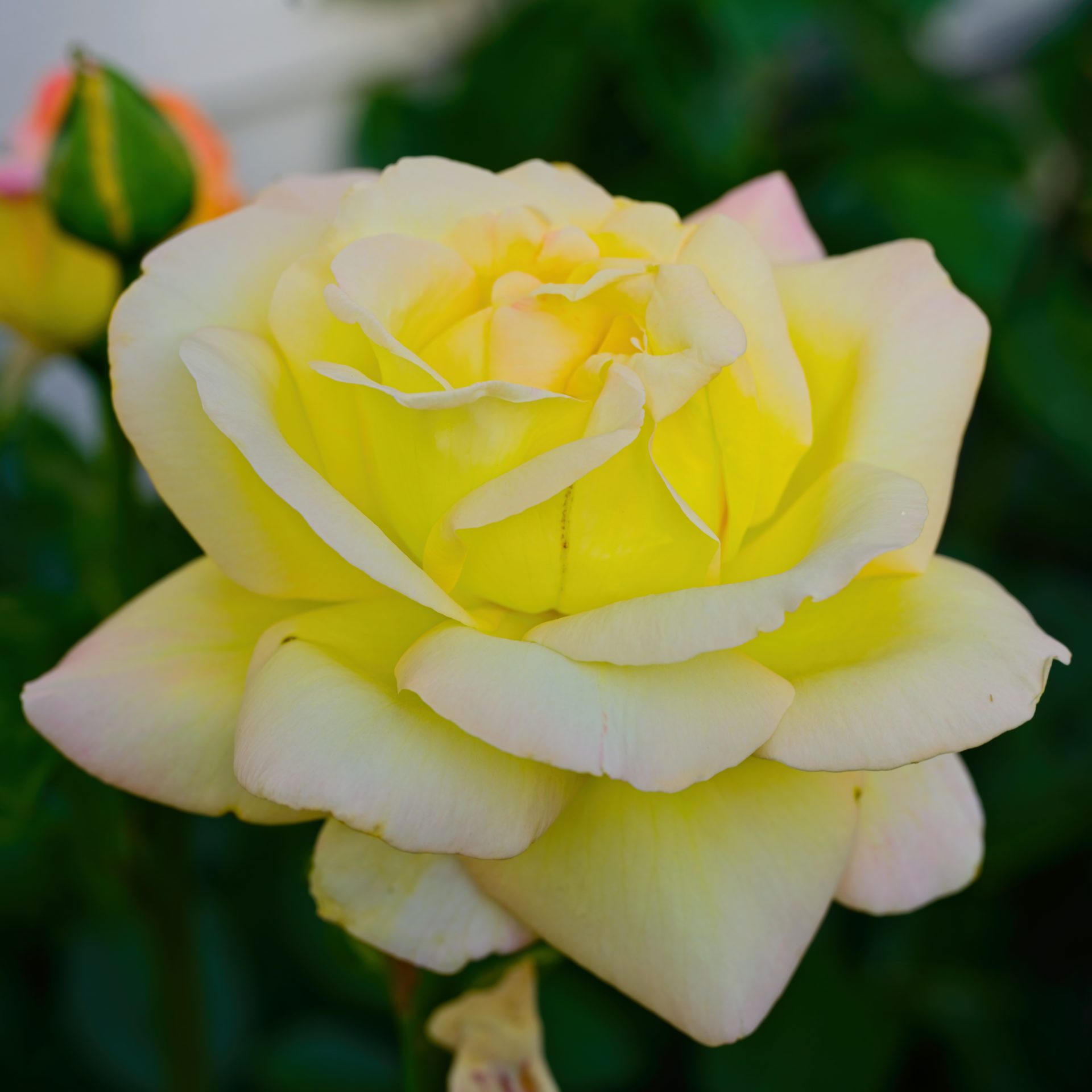 5 Signs You’ve Over Edited a Photo - ON1