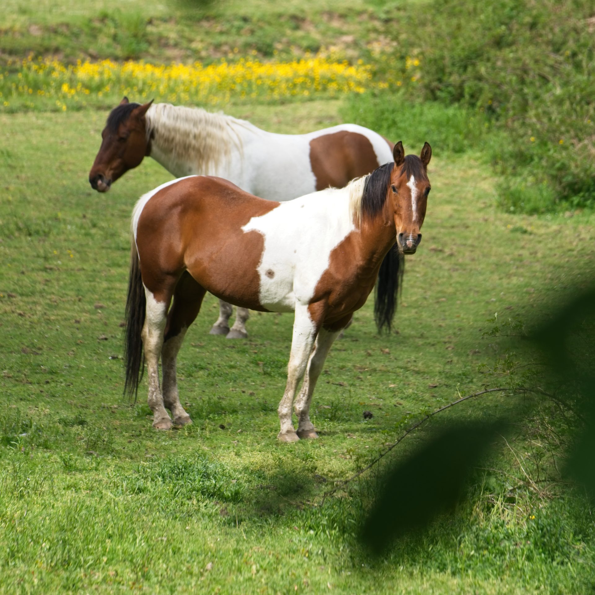 5 Signs You’ve Over Edited a Photo - ON1