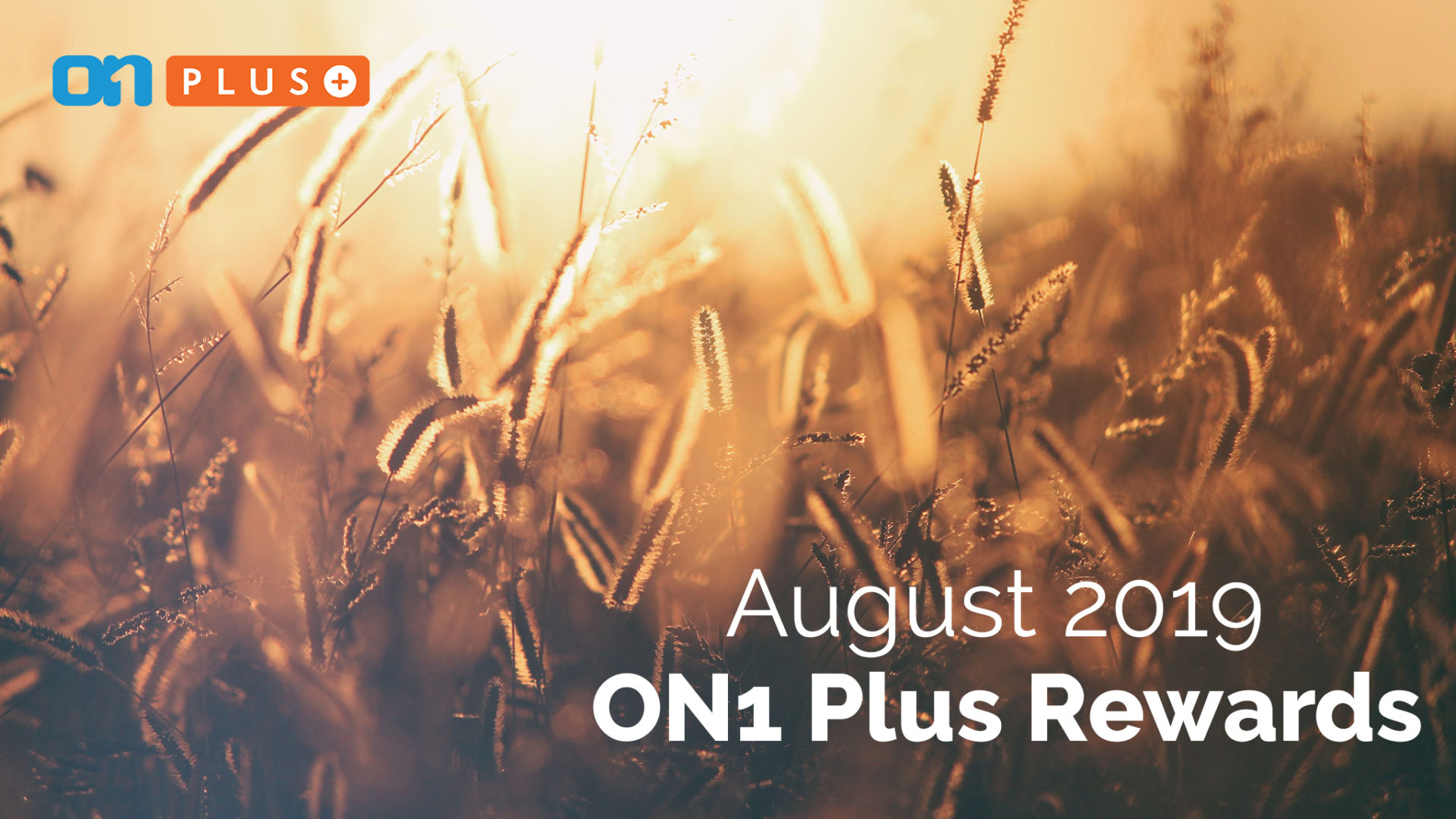 August 2019 ON1 Plus Loyalty Rewards - ON1