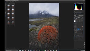 Focus Stacking Tips - ON1 - ON1
