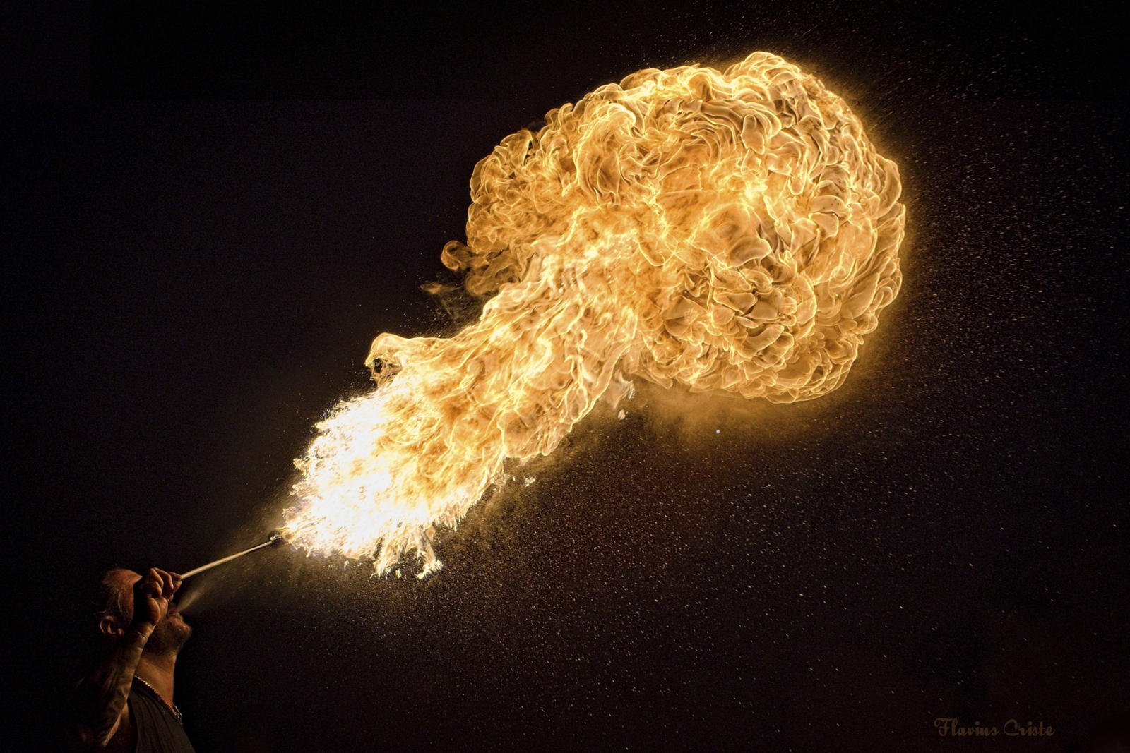 ON1 Motion Photo Contest – Winners Announced - ON1