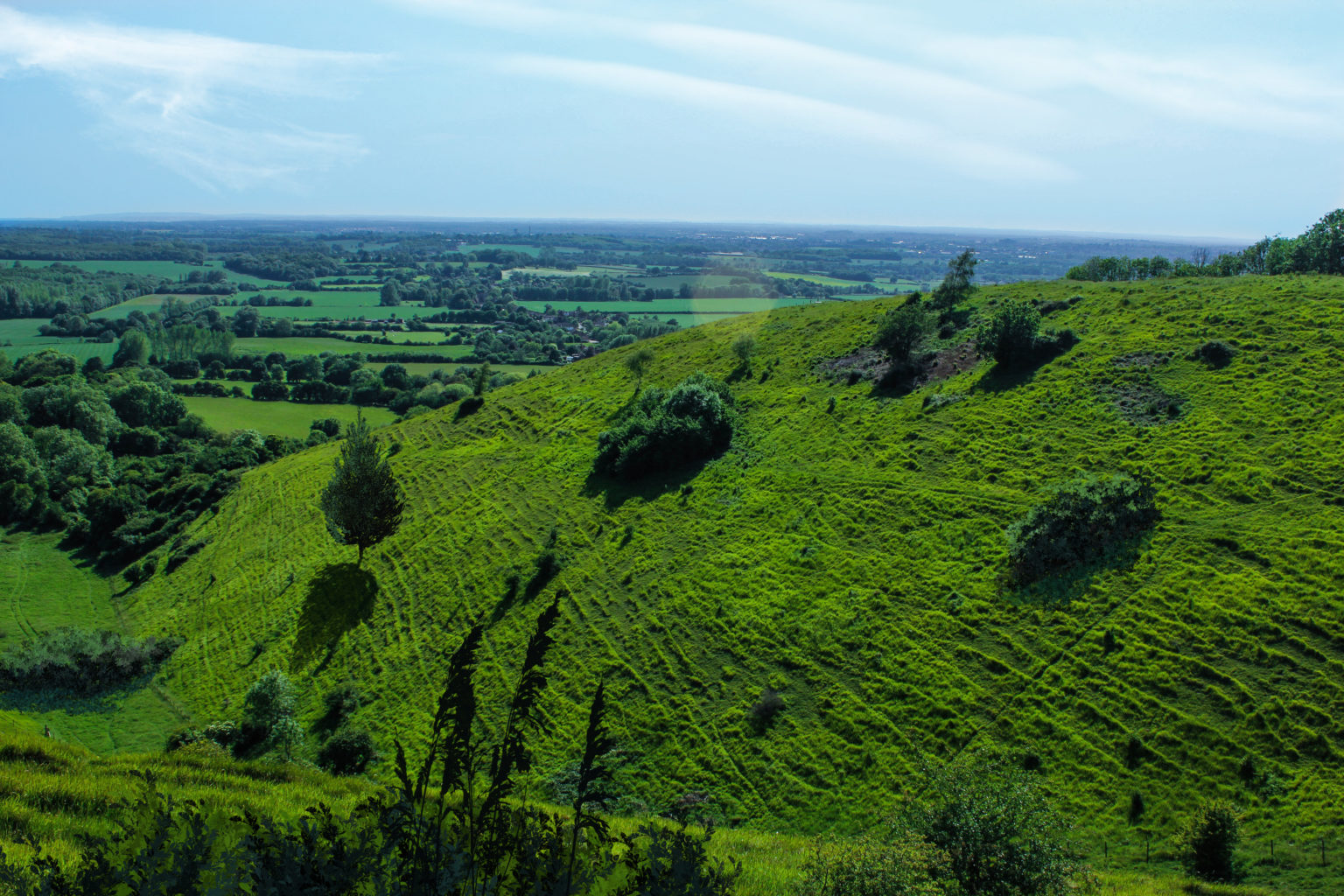 The ON1 Landscape Brush Collection (ON1B-LAND) - ON1