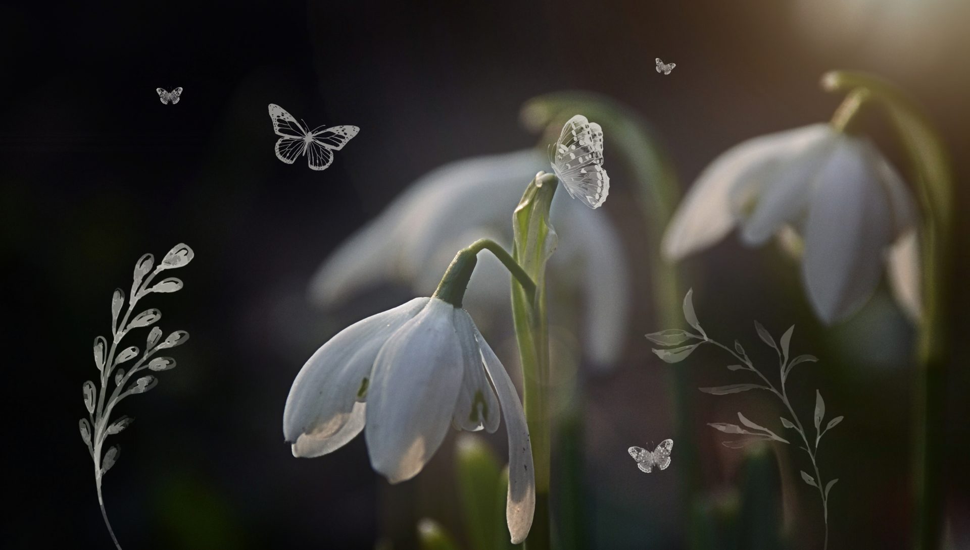 ON1 Spring Brush Collection (ON1B-SPRING) - ON1