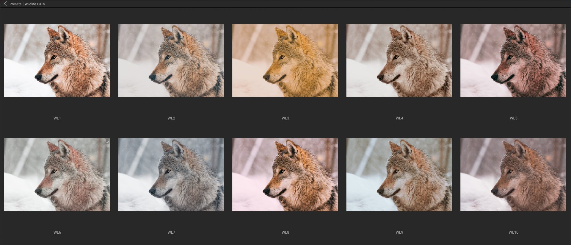 Wildlife LUTs - ON1