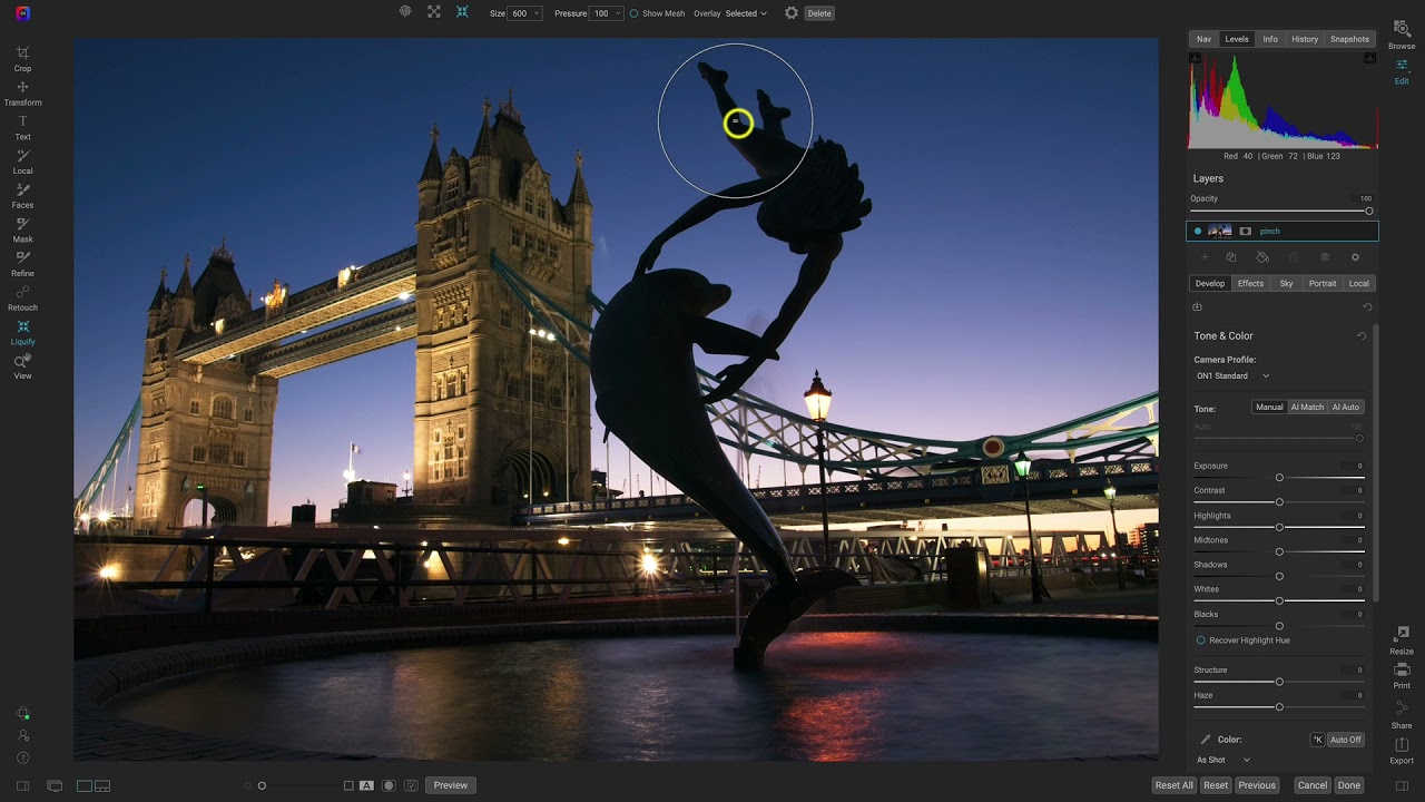 Using the Liquify Push Tool