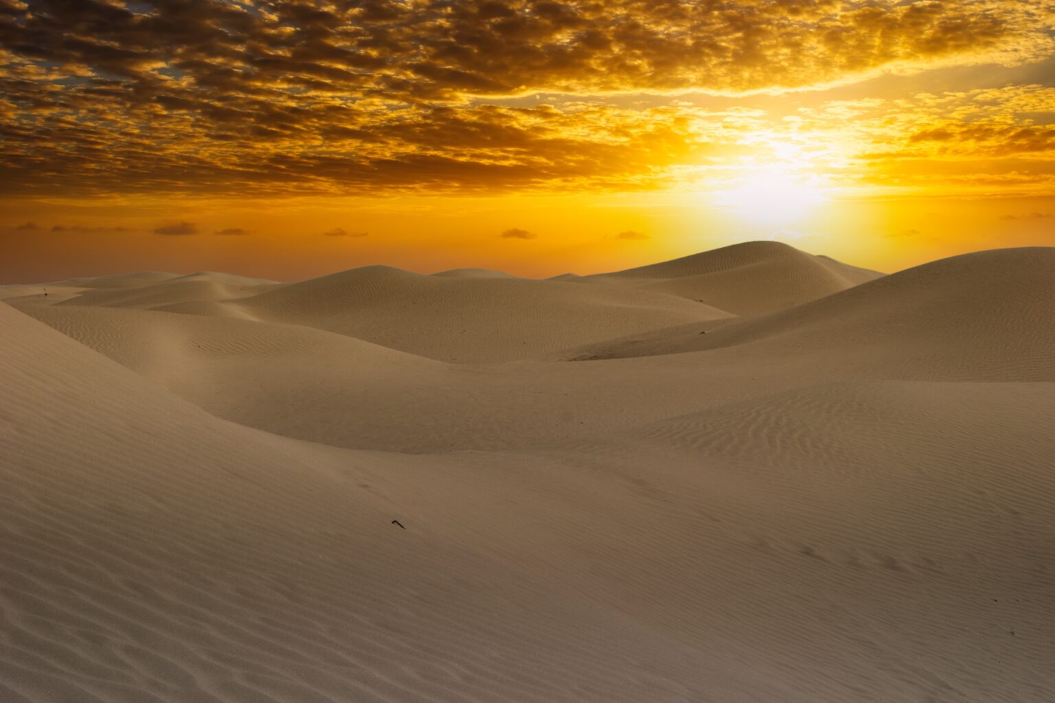 OcuDrone Dreamy Tropical Skies Sample - ON1