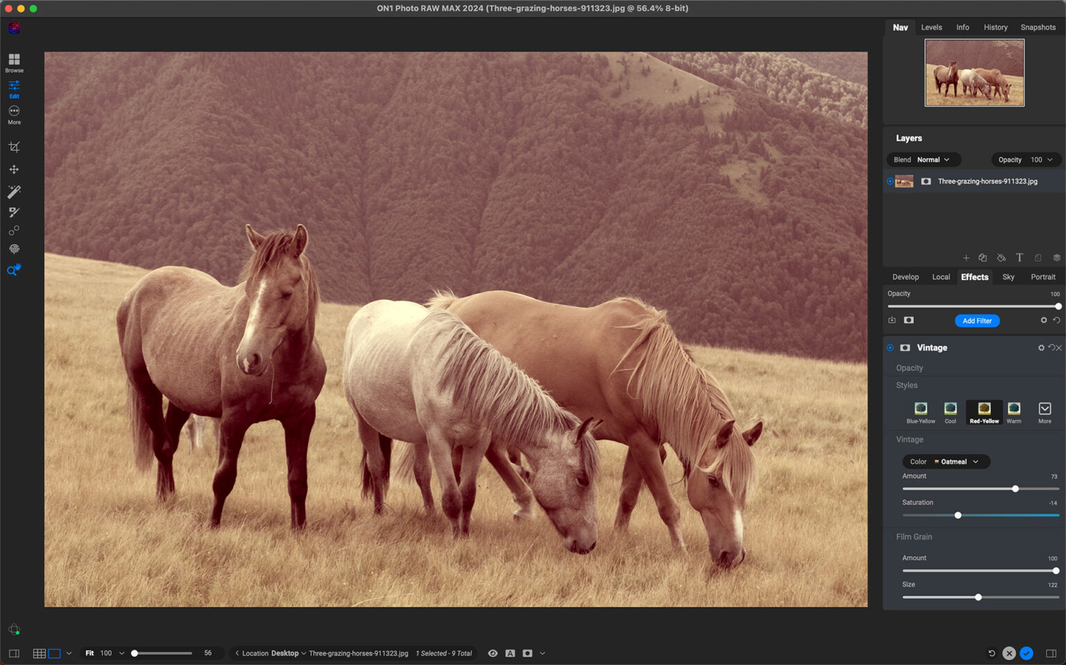 6 Different Photo Editing Styles to Try - ON1