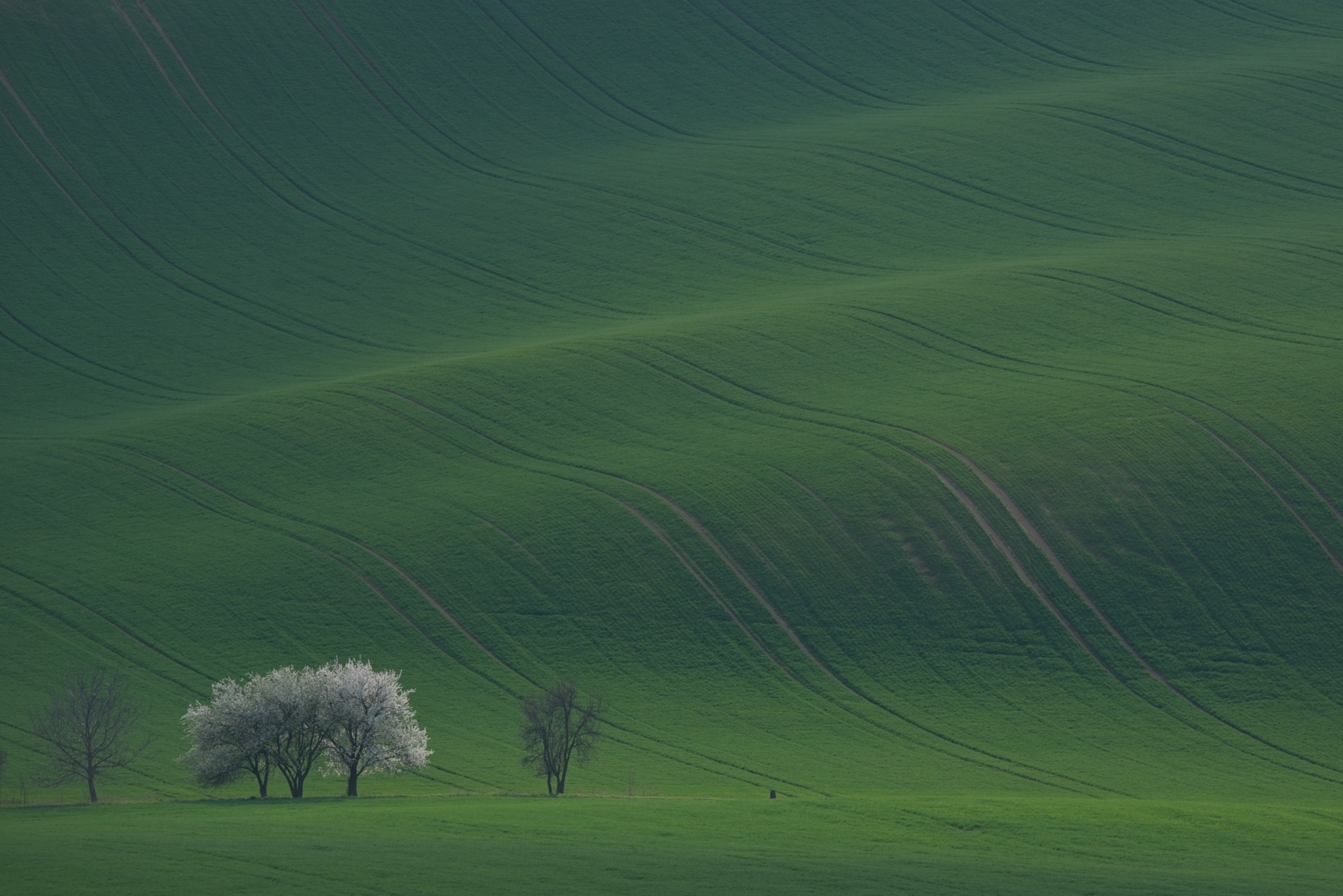 Epic Landscape Presets - ON1