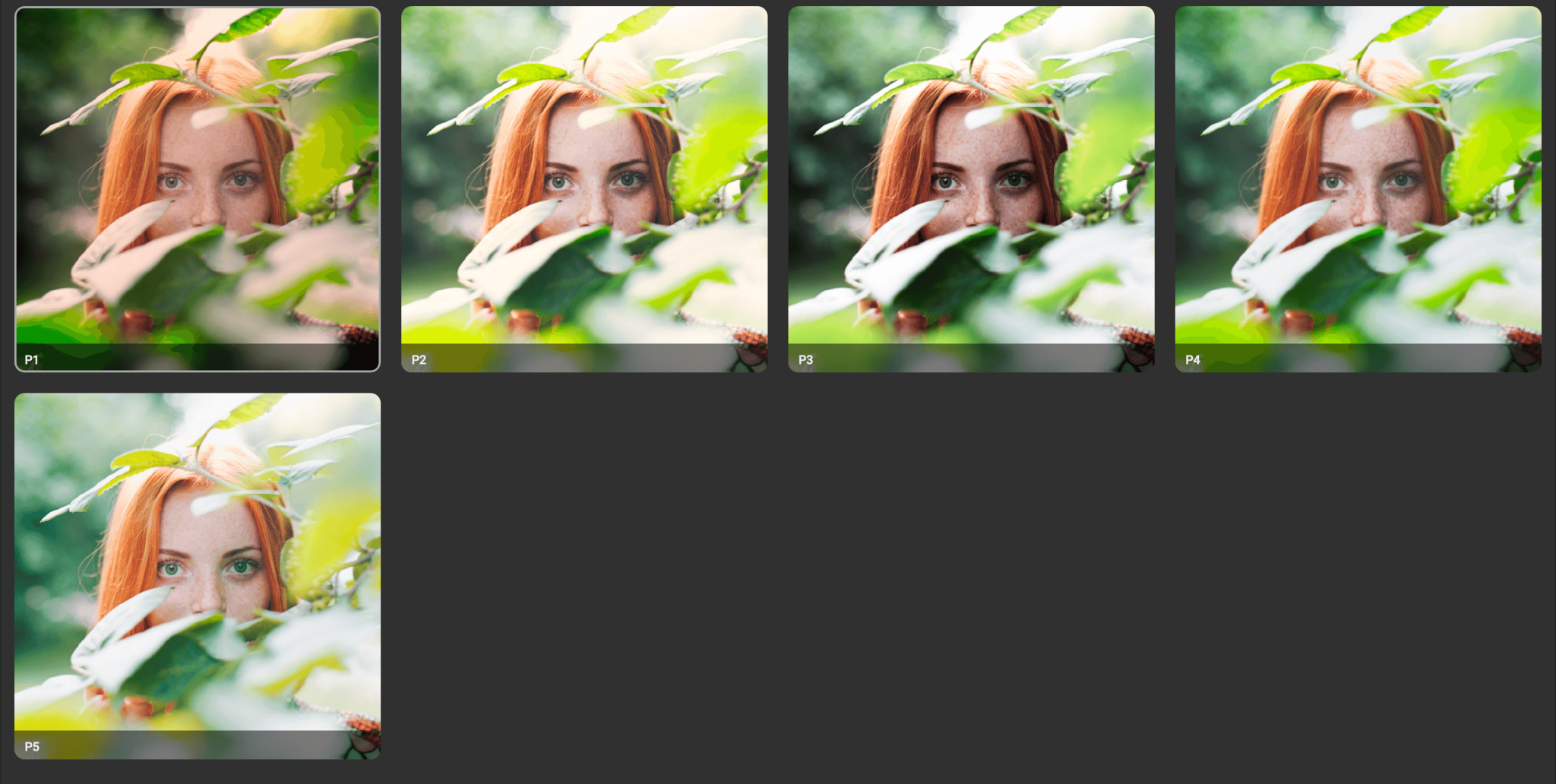 Perfect Portrait Presets - ON1