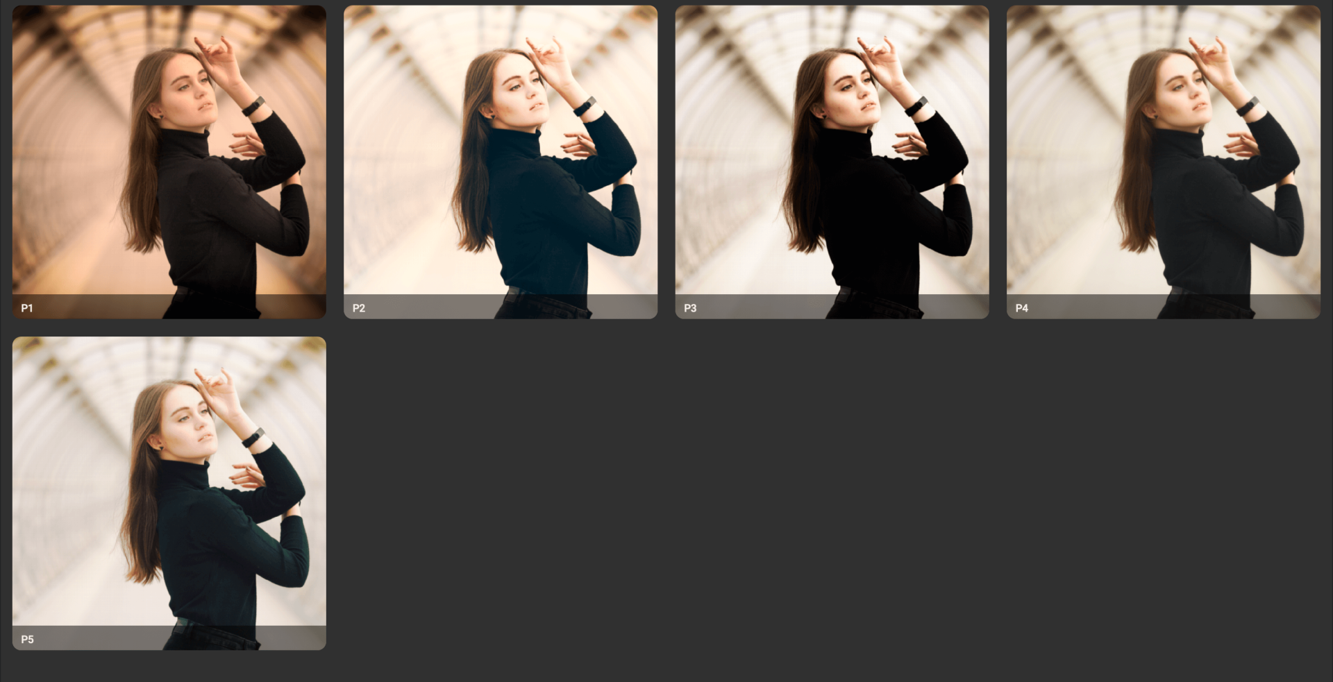 Perfect Portrait Presets - ON1