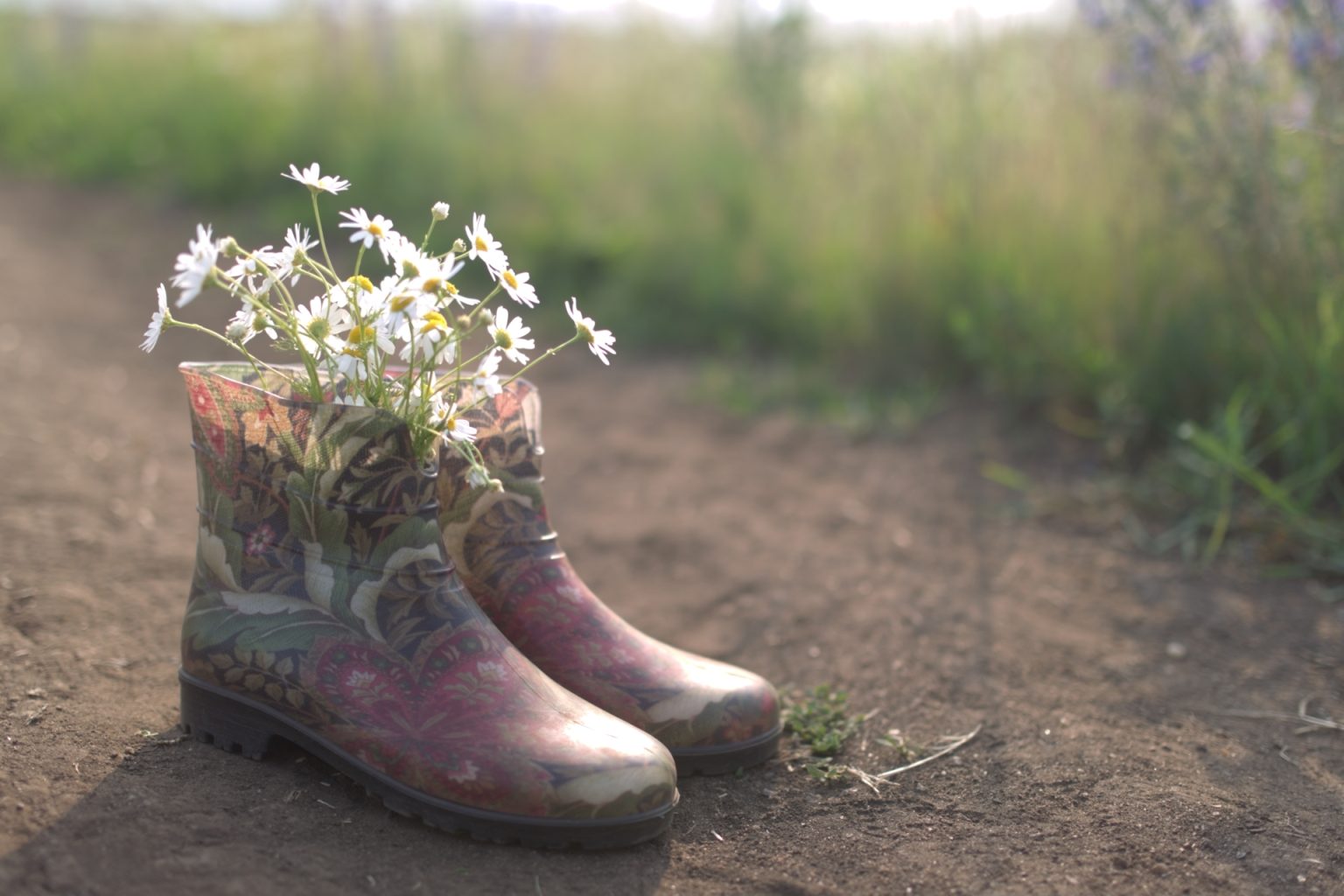 Retro Summer LUTs - ON1