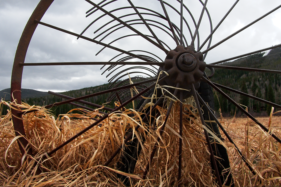 Antique Farm Rake - ON1