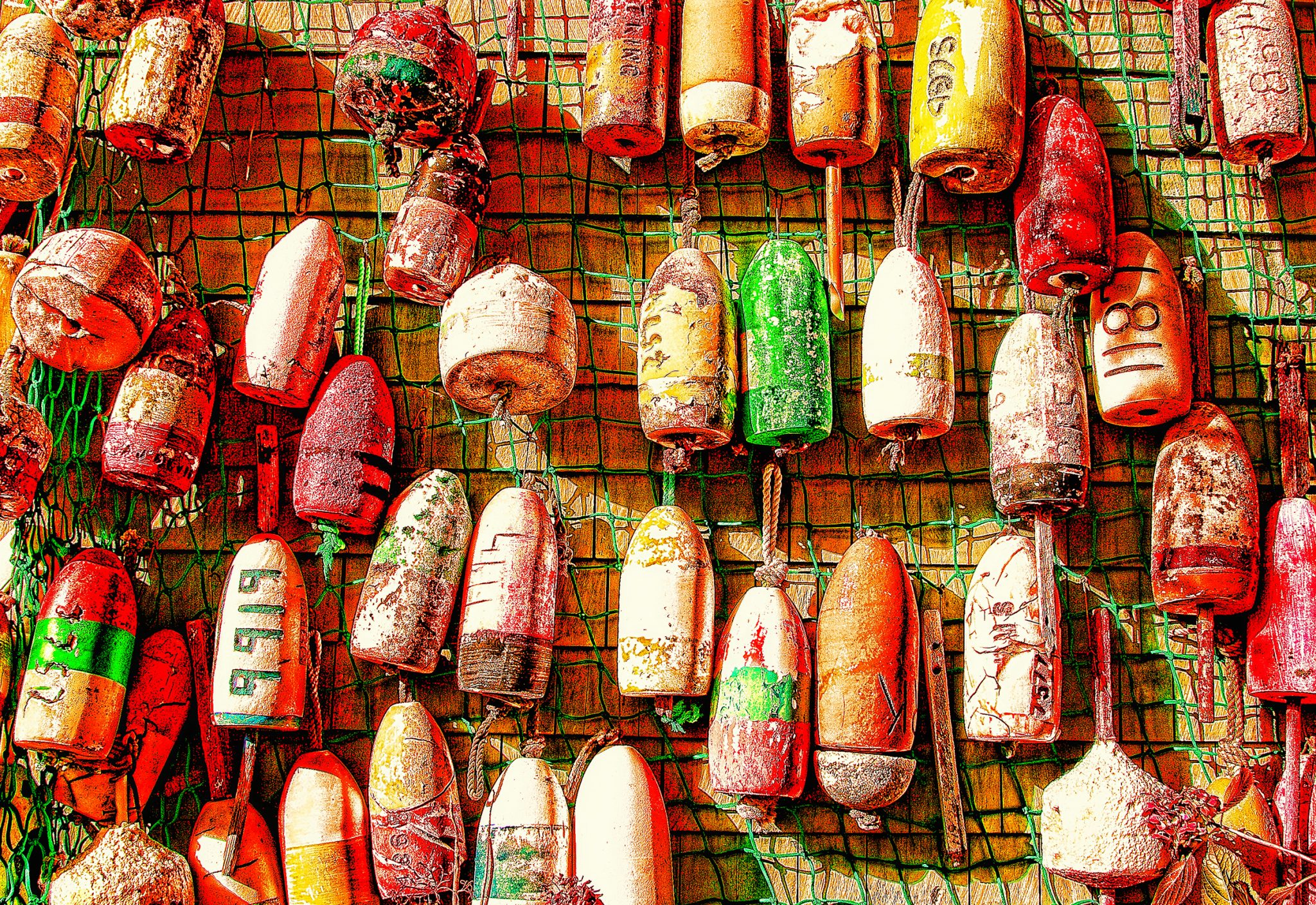 Signs of Cape Cod Lobster - ON1