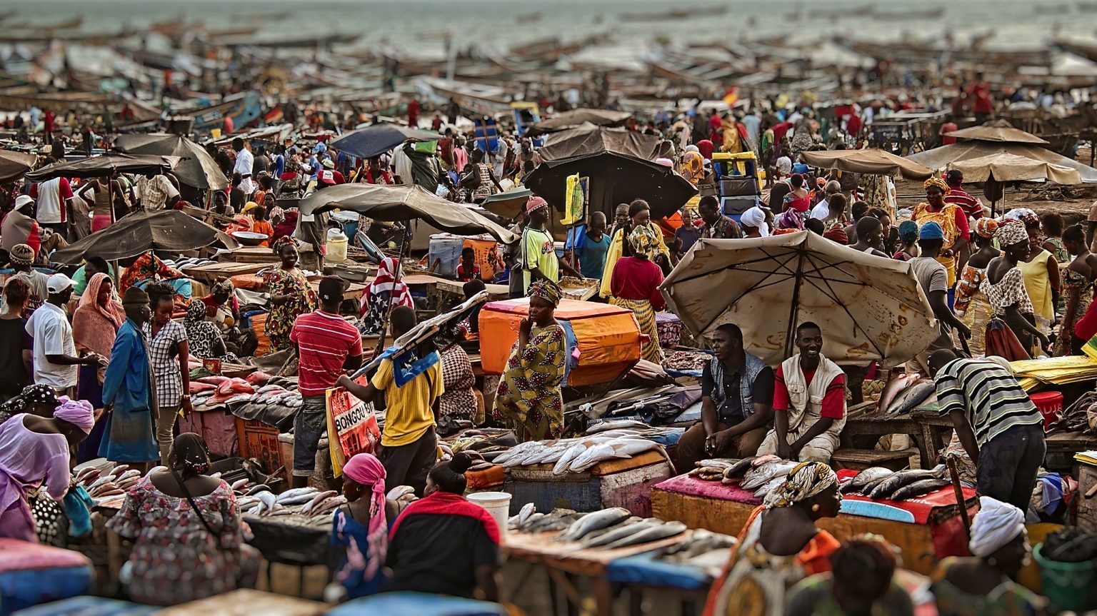 Fish market in M’Bour / Senegal - ON1