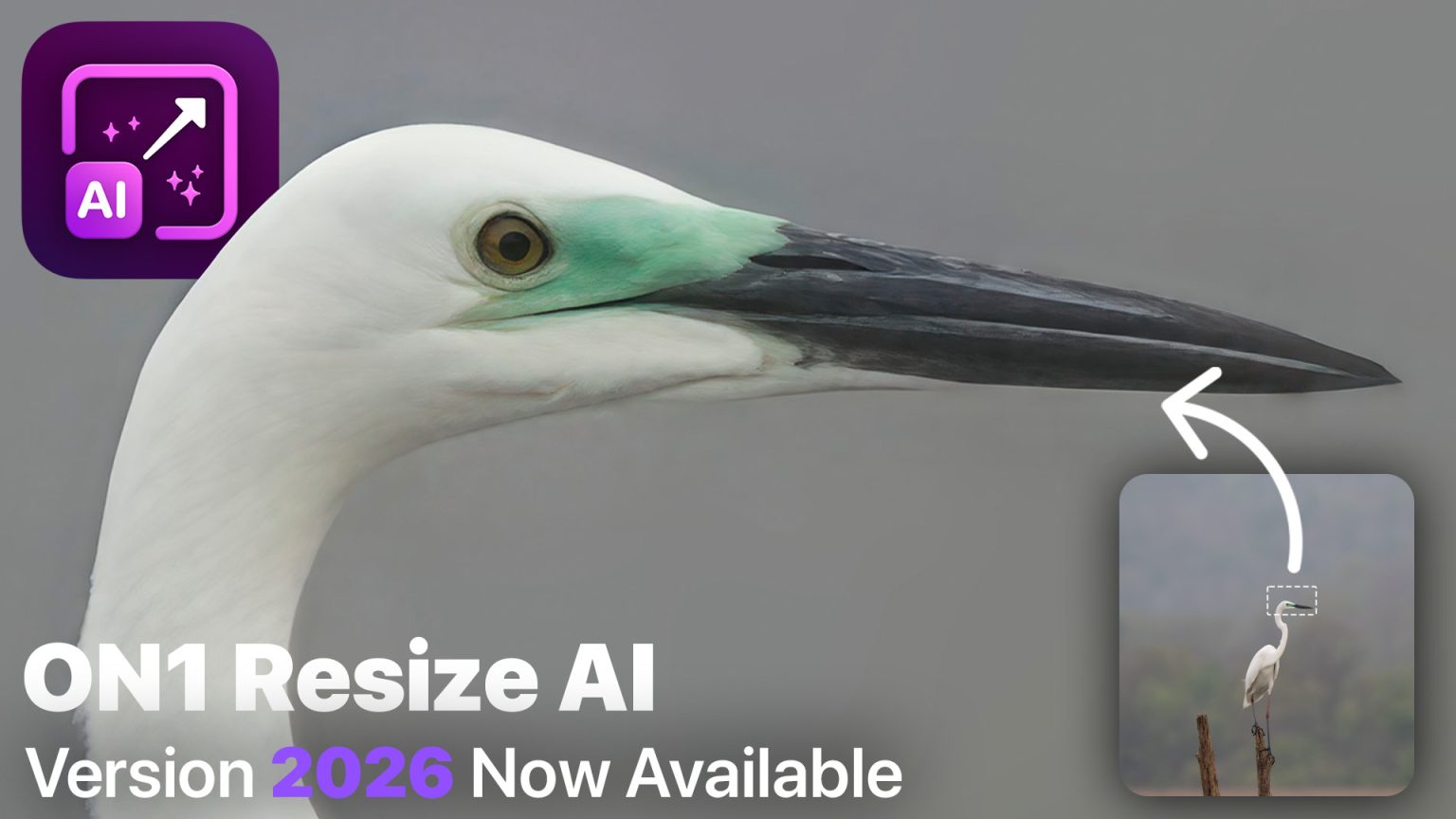 ON1 Resize AI 2026 Is Here: The Best AI Photo Enlargement Software for Upscaling Any Image