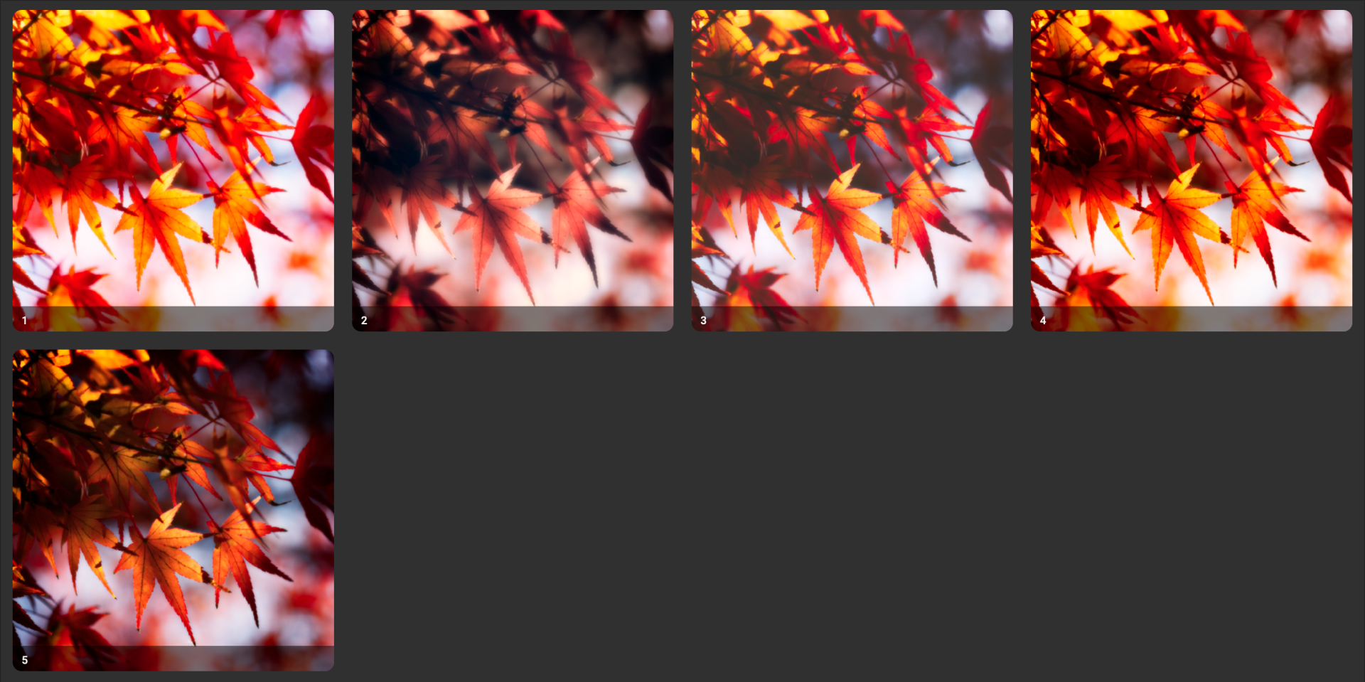Autumn Glow Presets - ON1