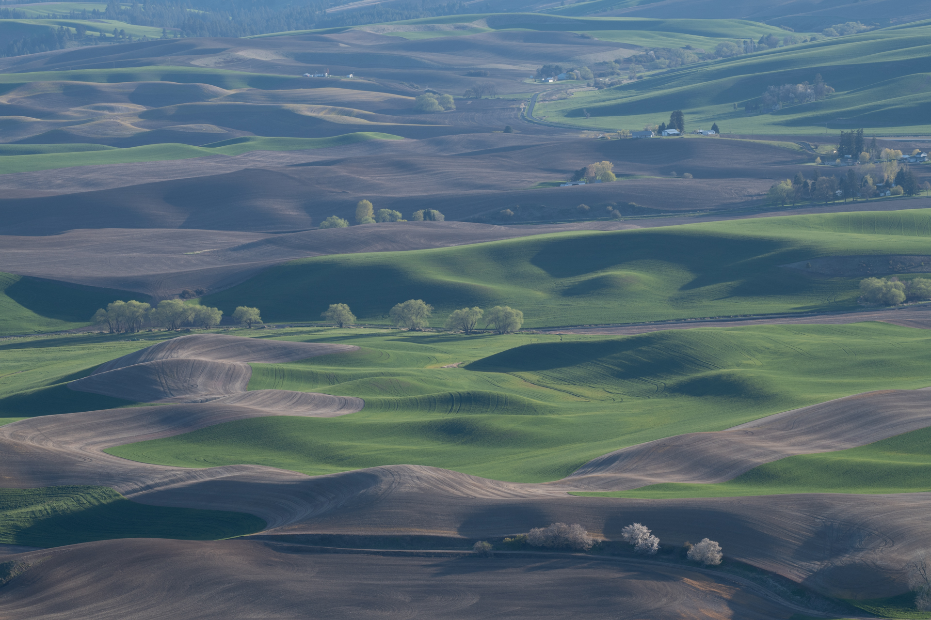Chasing Spring Light: Landscapes of the Pacific Northwest