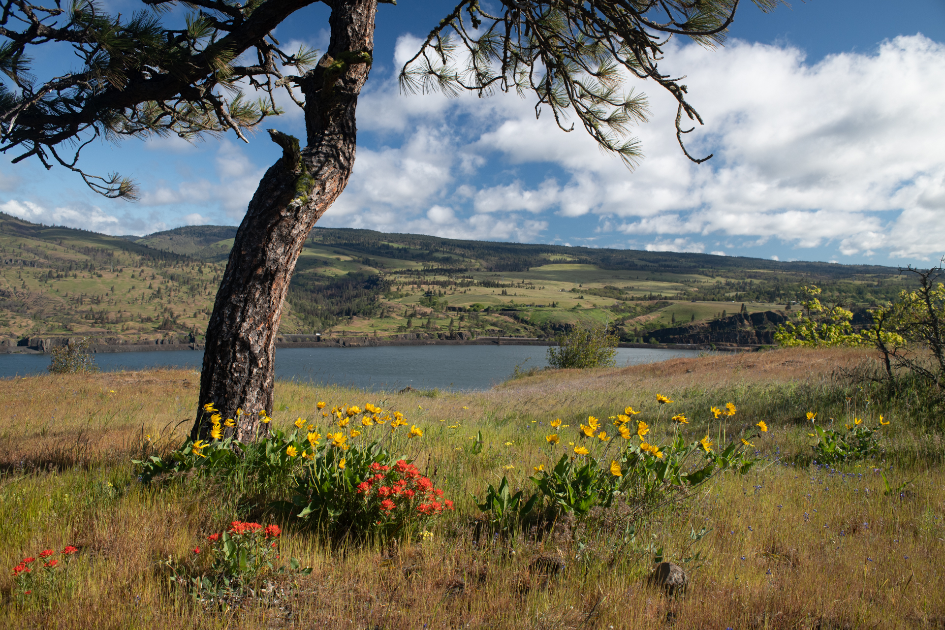 Chasing Spring Light: Landscapes of the Pacific Northwest