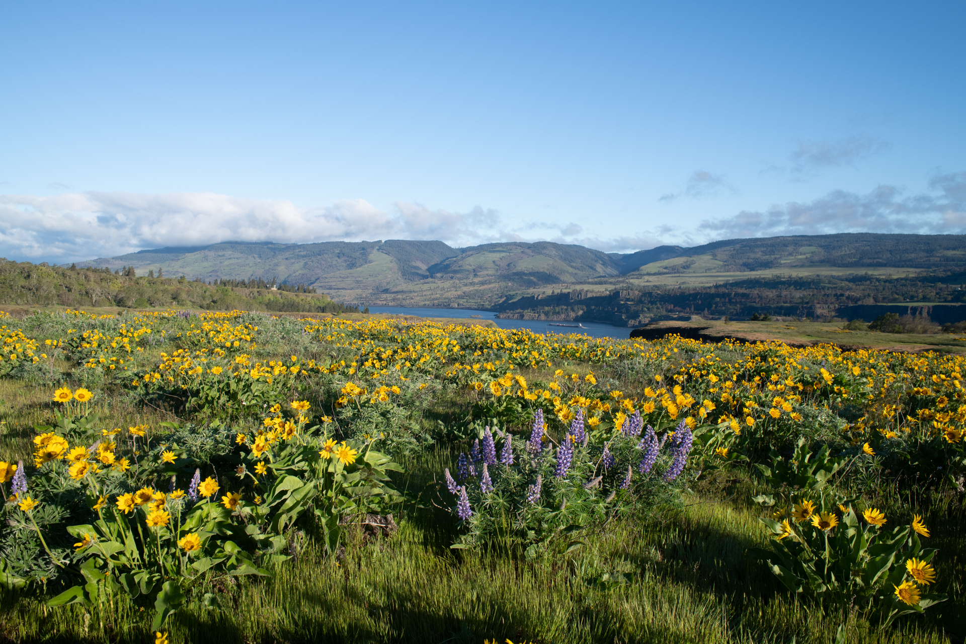 Chasing Spring Light: Landscapes of the Pacific Northwest