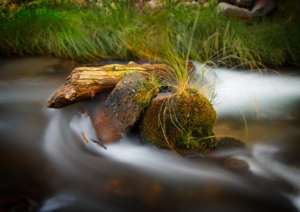 Stream still life. - ON1