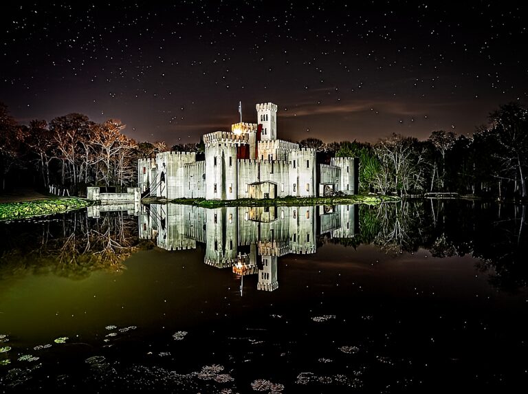Castle In Texas - ON1